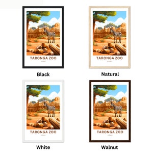 Taronga Zoo Travel Print - Taronga Zoo Poster, Sydney Wall Art, Framed ...