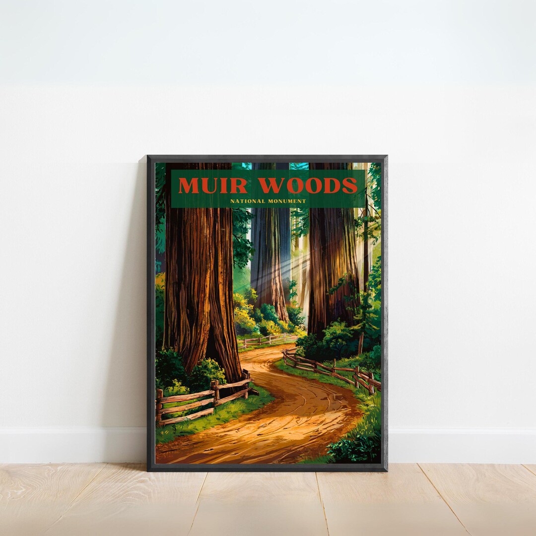Muir Woods Vintage Travel Poster - Muir Woods Print, California Wall ...