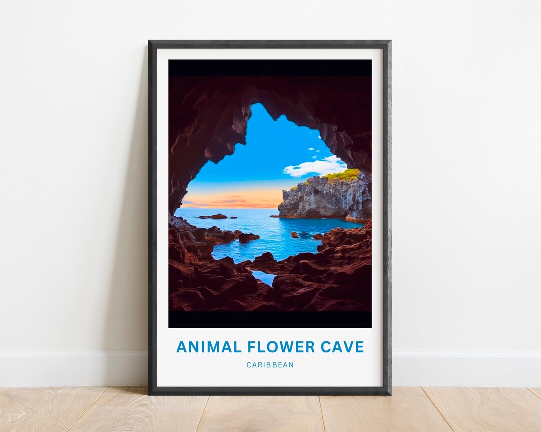 Animal Flower Cave Travel Print - Animal Flower Cave Poster, Caribbean ...