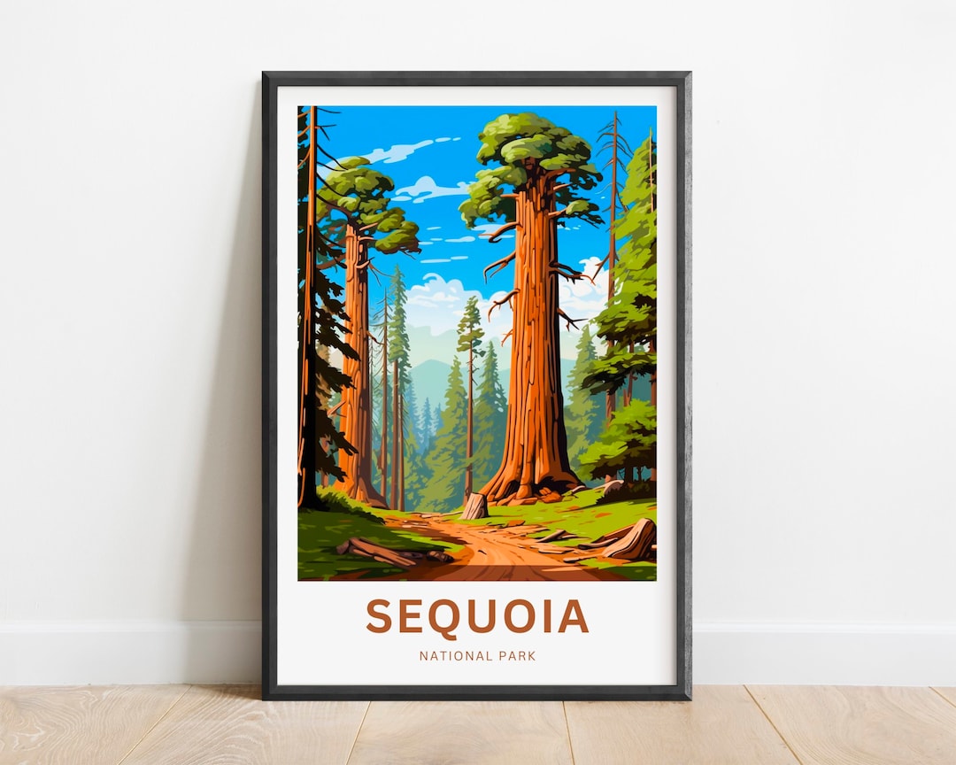Sequoia National Park Travel Print - Sequoia Poster, National Park Wall ...