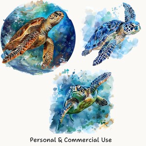 11 Sea Turtle Clipart Set, Marine Turtle Printable Watercolor, High ...