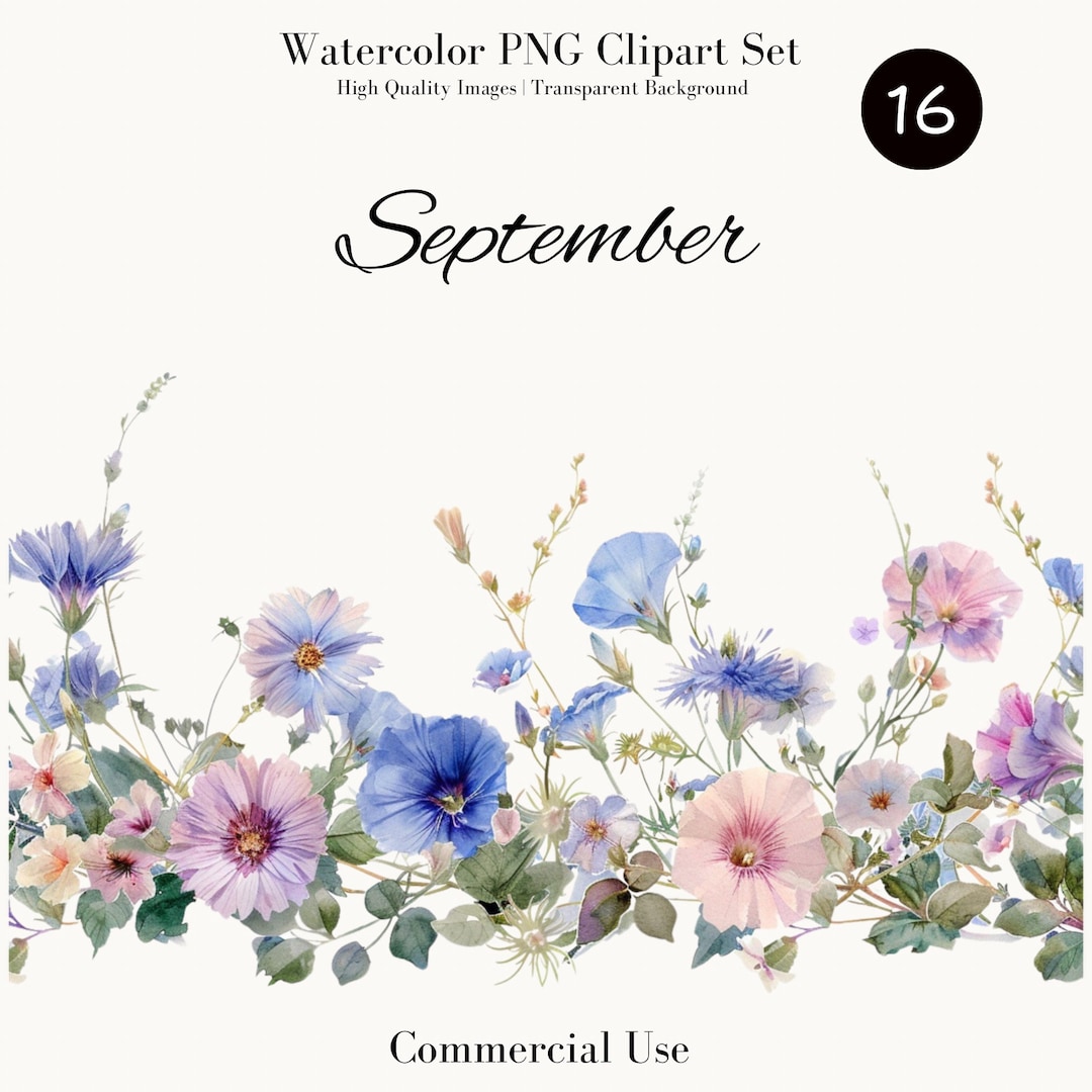 Watercolor Aster and Morning Glory Border, Floral Invitation Clipart ...