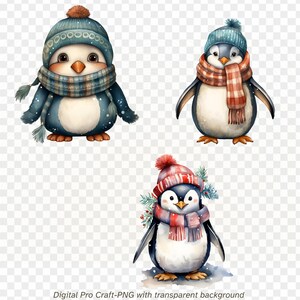 Penguin Clipart, Penguin Png, Watercolor Clipart, Winter Penguin ...