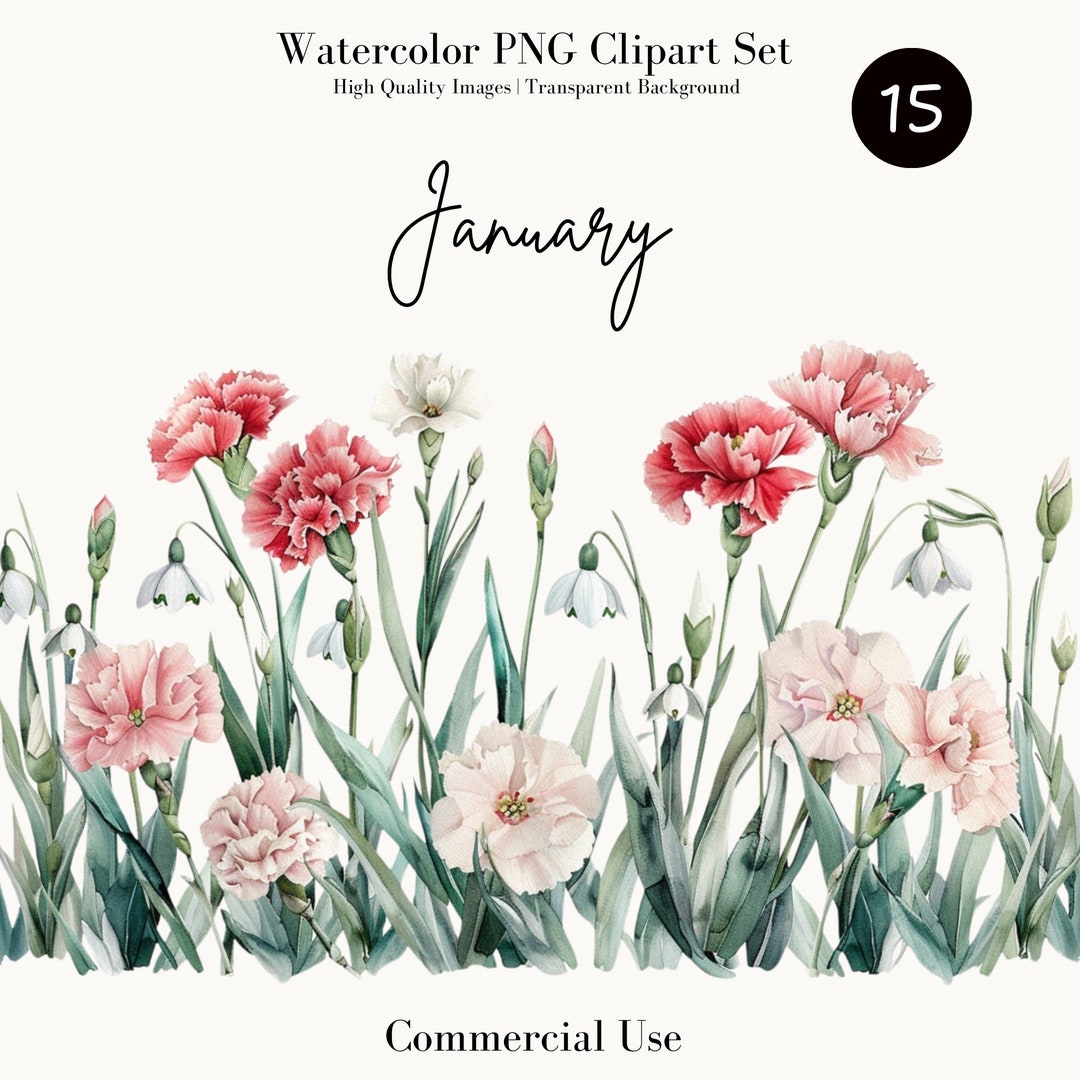 Watercolor Carnation Floral Border Invitation Card Set, January ...