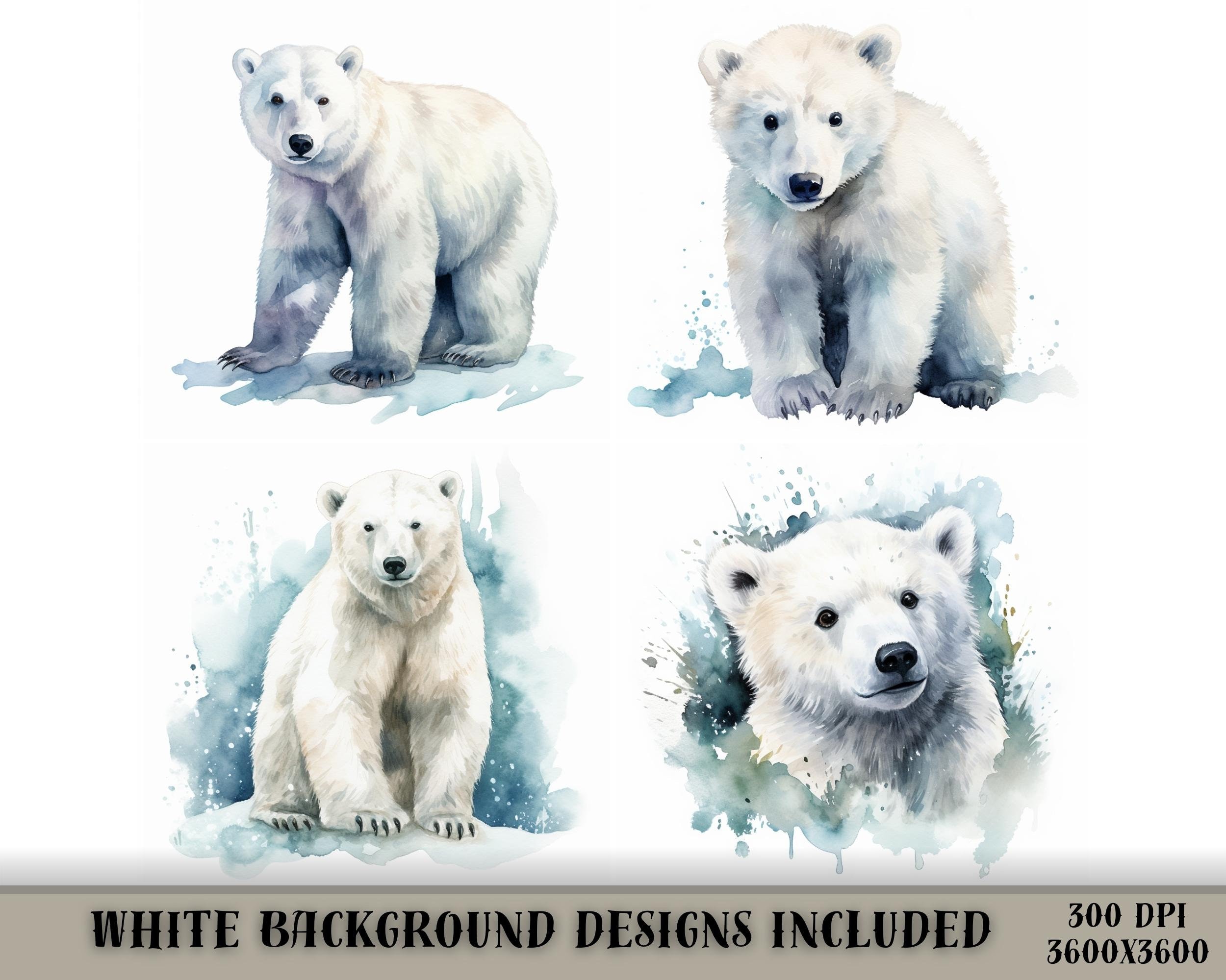 12 Watercolor Polar Bear Clipart Jpgs Commercial Use - Etsy