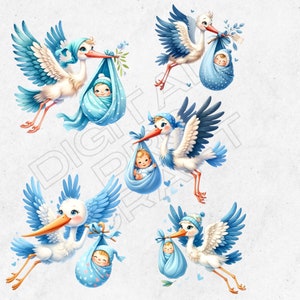 Stork Baby Boy Delivery Clipart Bundle, Newborn Announcement Graphics ...