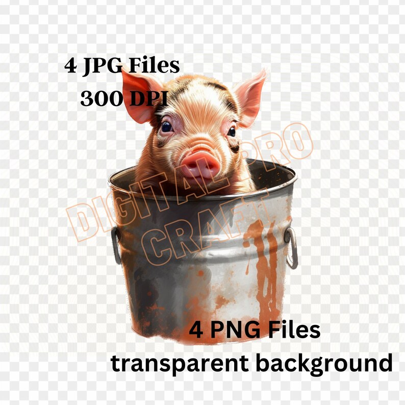 Pig Watercolor Clipart Cute Pig in Bucket Baby Pig Piglet PNG - Etsy