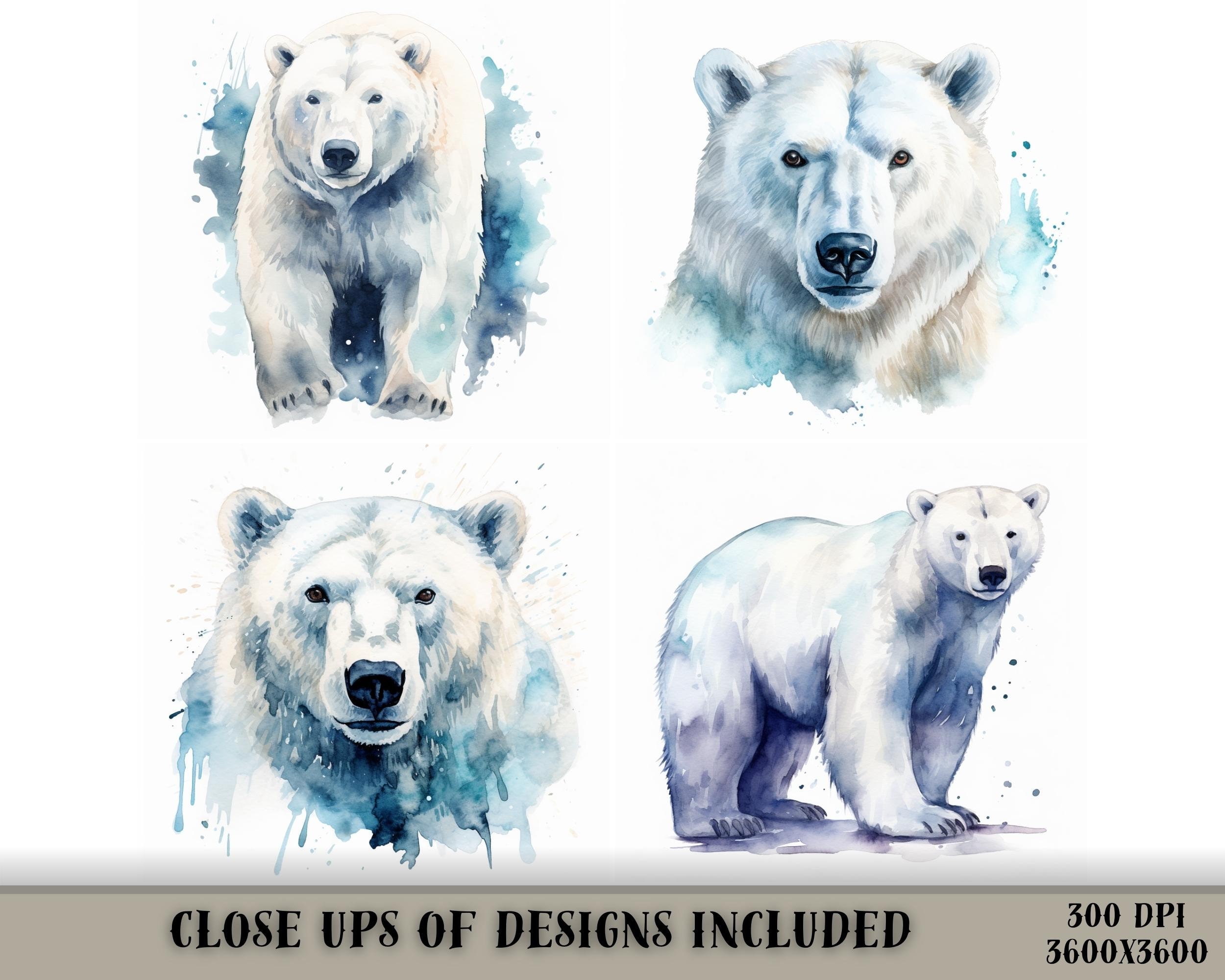 12 Watercolor Polar Bear Clipart Jpgs Commercial Use - Etsy