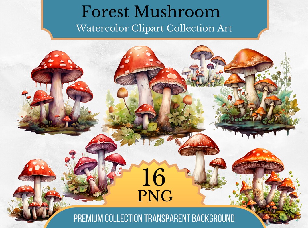 Mushroom Watercolor Clipart, Watercolor Forest Art, Fantasy Clipart ...
