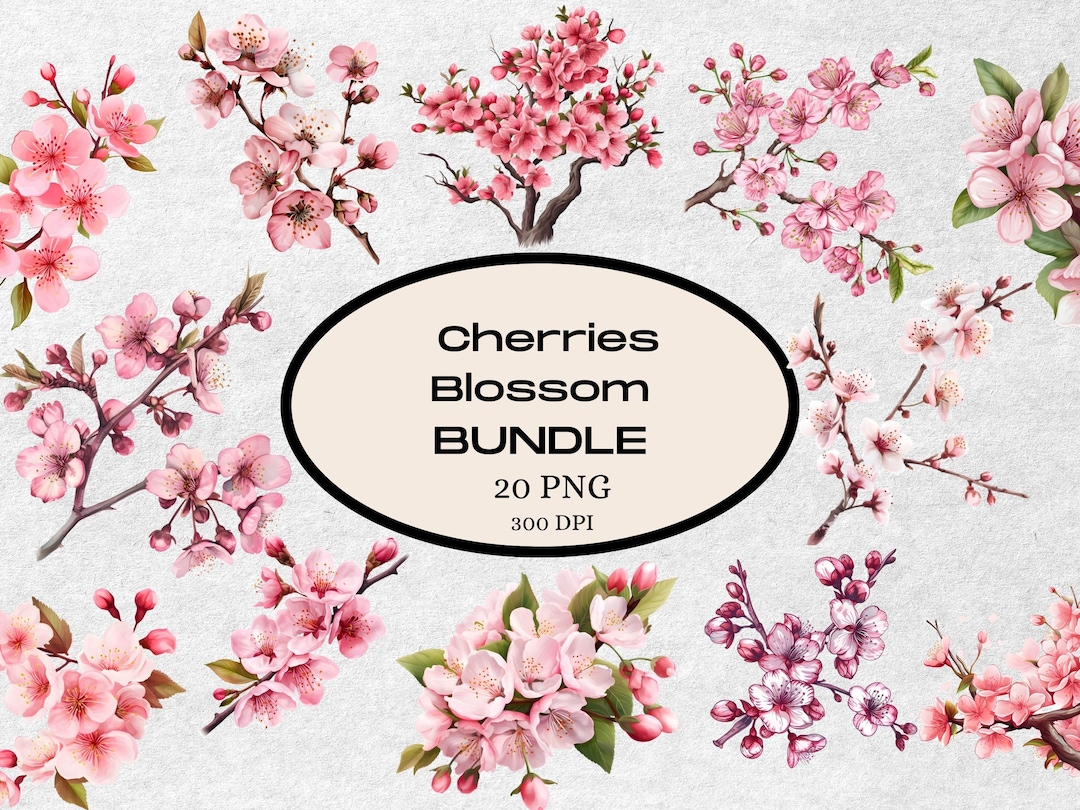 Cherry Blossom Clipart Bundle, Spring Floral Digital Art, Pink Sakura ...