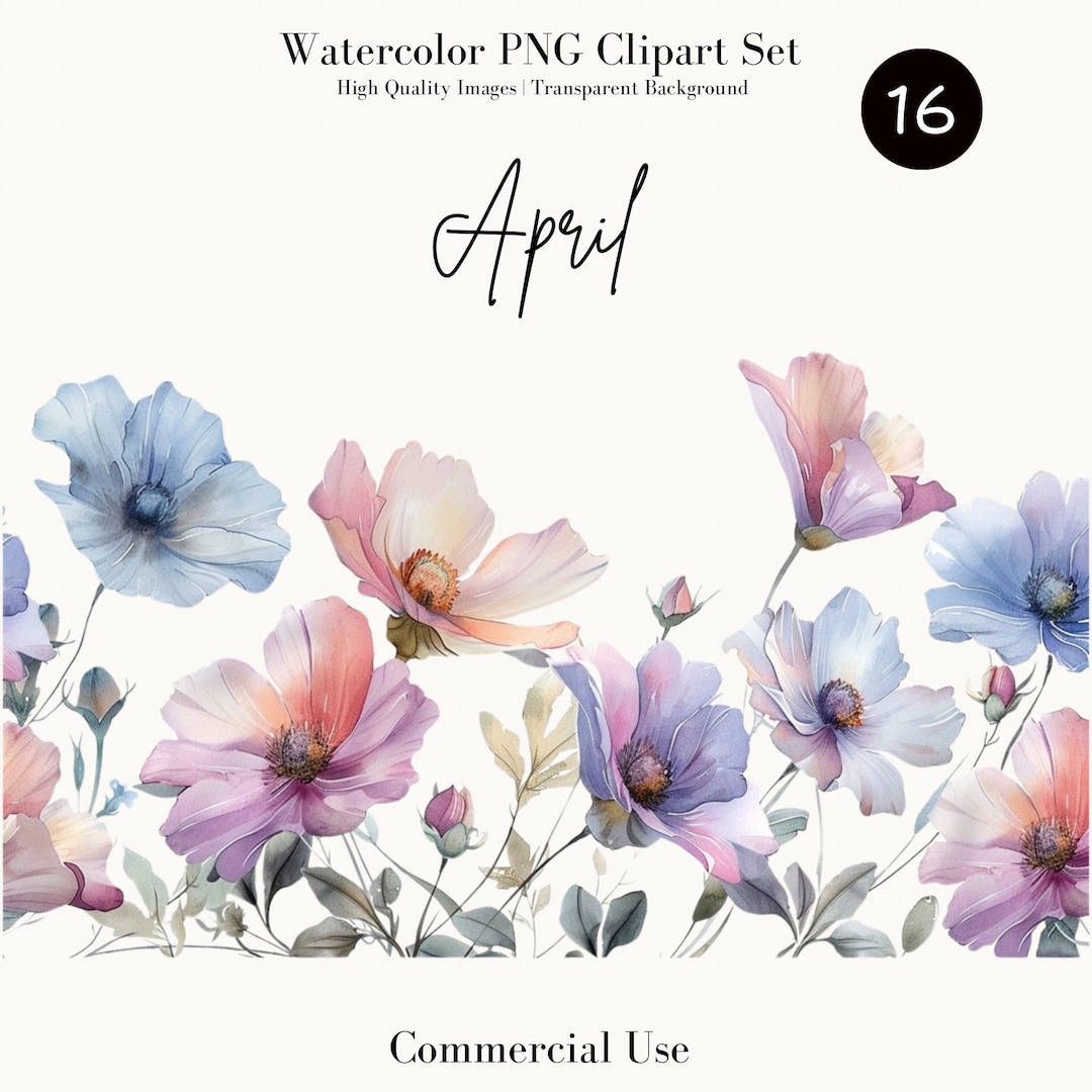April Watercolor Daisy Florals PNG Clipart Set, High Quality, Sweet Pea ...