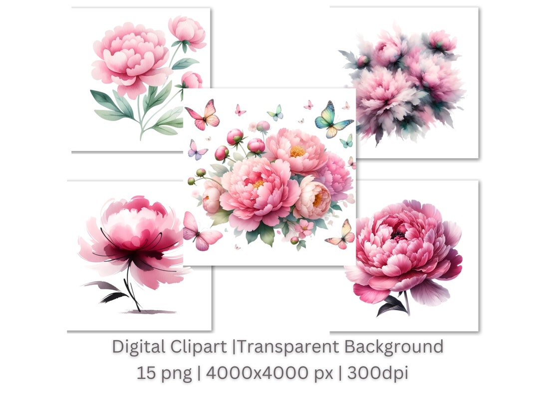 Pink Peonies Clipart Bundle, Watercolor Flowers Clipart, Valentines Png ...