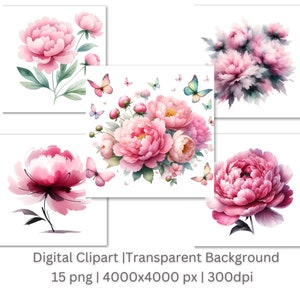Pink Peonies Clipart Bundle, Watercolor Flowers Clipart, Valentines Png ...