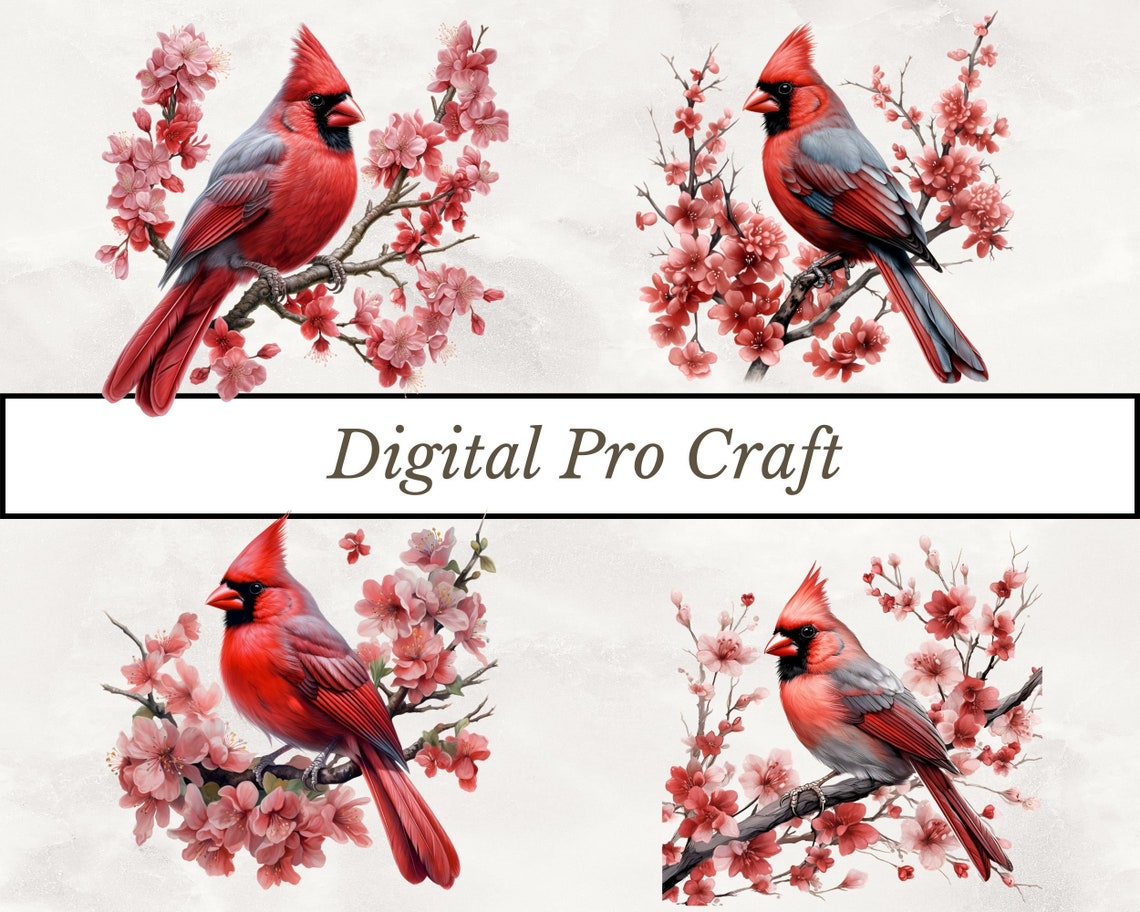 Red Cardinal Clipart, 12 High Quality PNG, Nursery Art, Digital ...