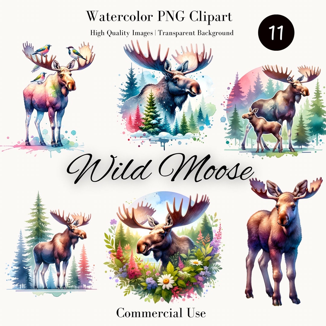 Moose Clipart – 11 High Quality Pngs, Nursery Art, Instant Digital ...