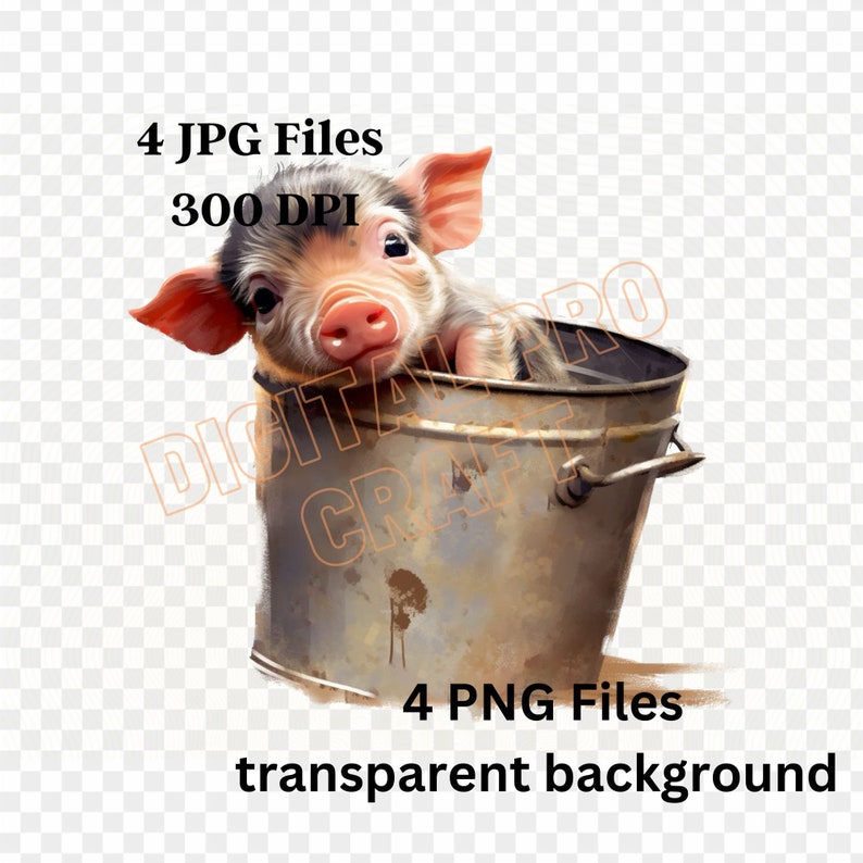 Pig Watercolor Clipart Cute Pig in Bucket Baby Pig Piglet PNG - Etsy