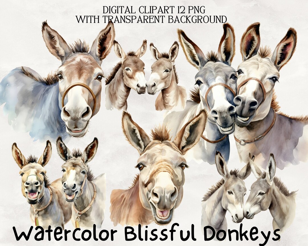 12 Watercolor Blissful Smiling Donkeys Clipart Png,donkey Clipart Png,donkeys Png,watercolor ...