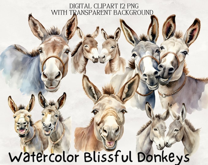 12 Happy Donkeys Clipart, Donkey Clipart, JPG, Commercial Use,digital ...