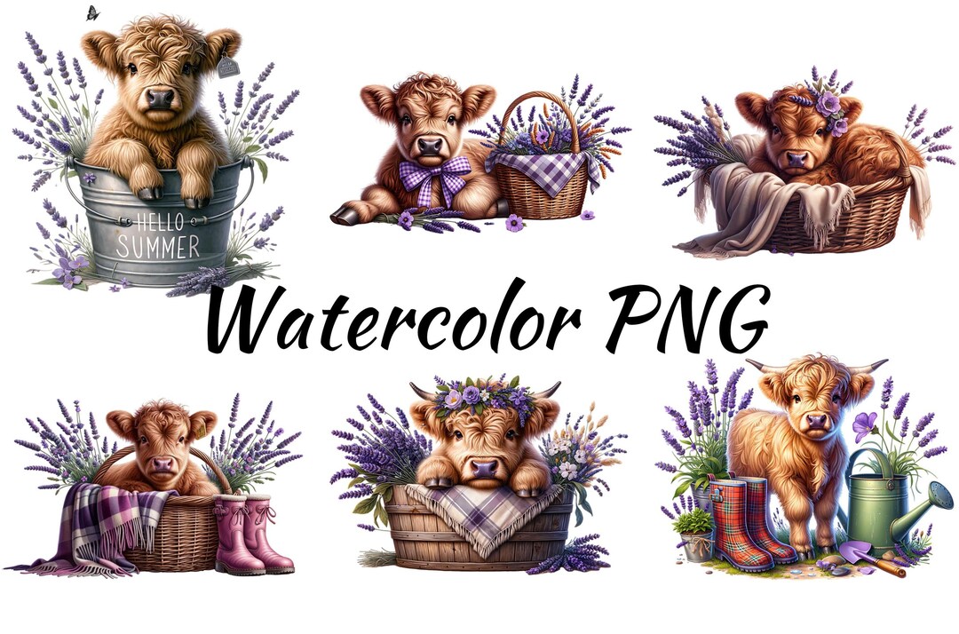 Baby Highland Cow Clipart Bundle, Highland Cow Clipart, Highland Cow ...