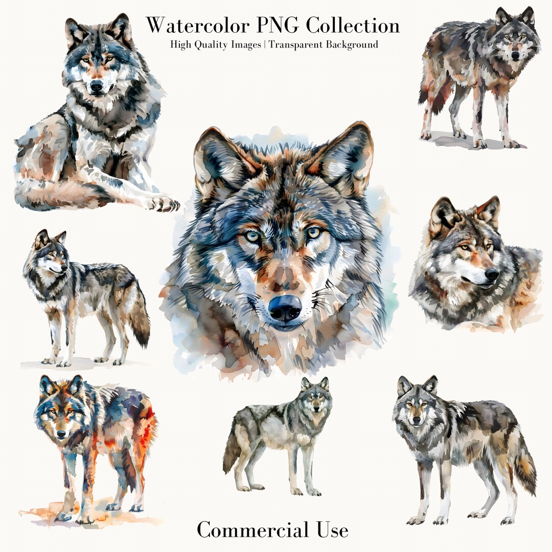 Watercolor Wolves Clipart, Digital PNG Files, High Quality, Transparent ...