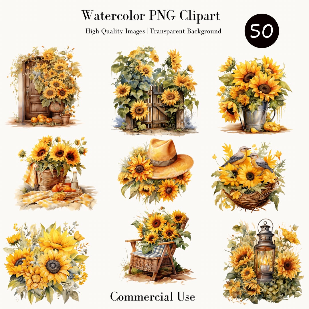 Sunflower Watercolor PNG Clipart Bundle – Digital Download, Floral Art ...