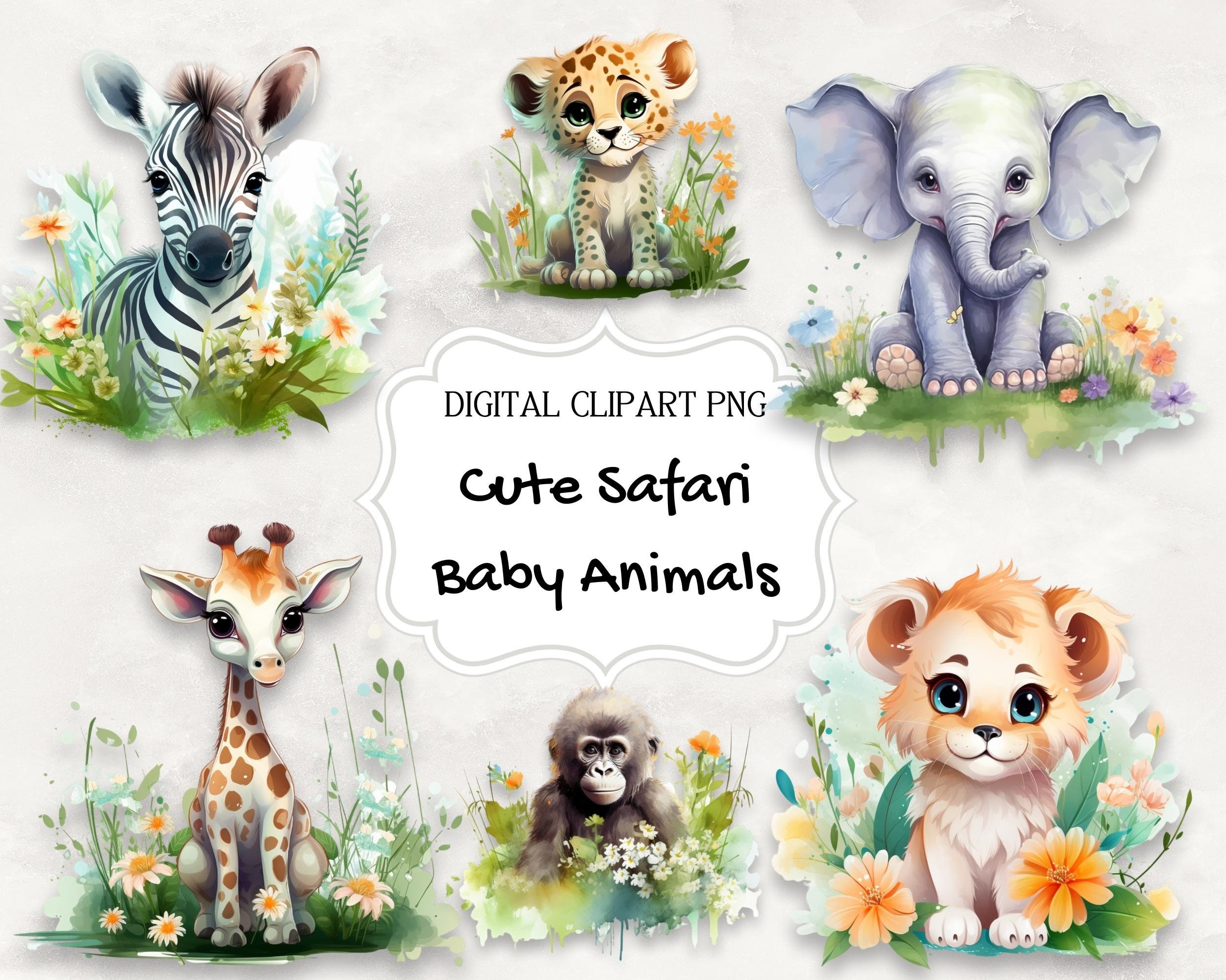 12 Safari Baby Animals Watercolor Clipart PNG digital - Etsy
