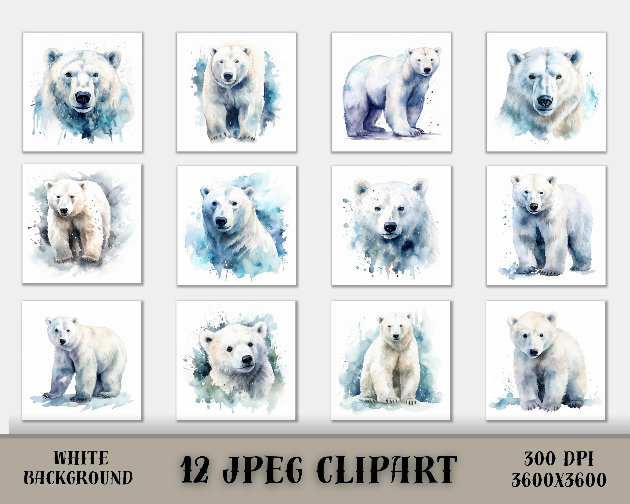 12 Watercolor Polar Bear Clipart Jpgs Commercial Use - Etsy