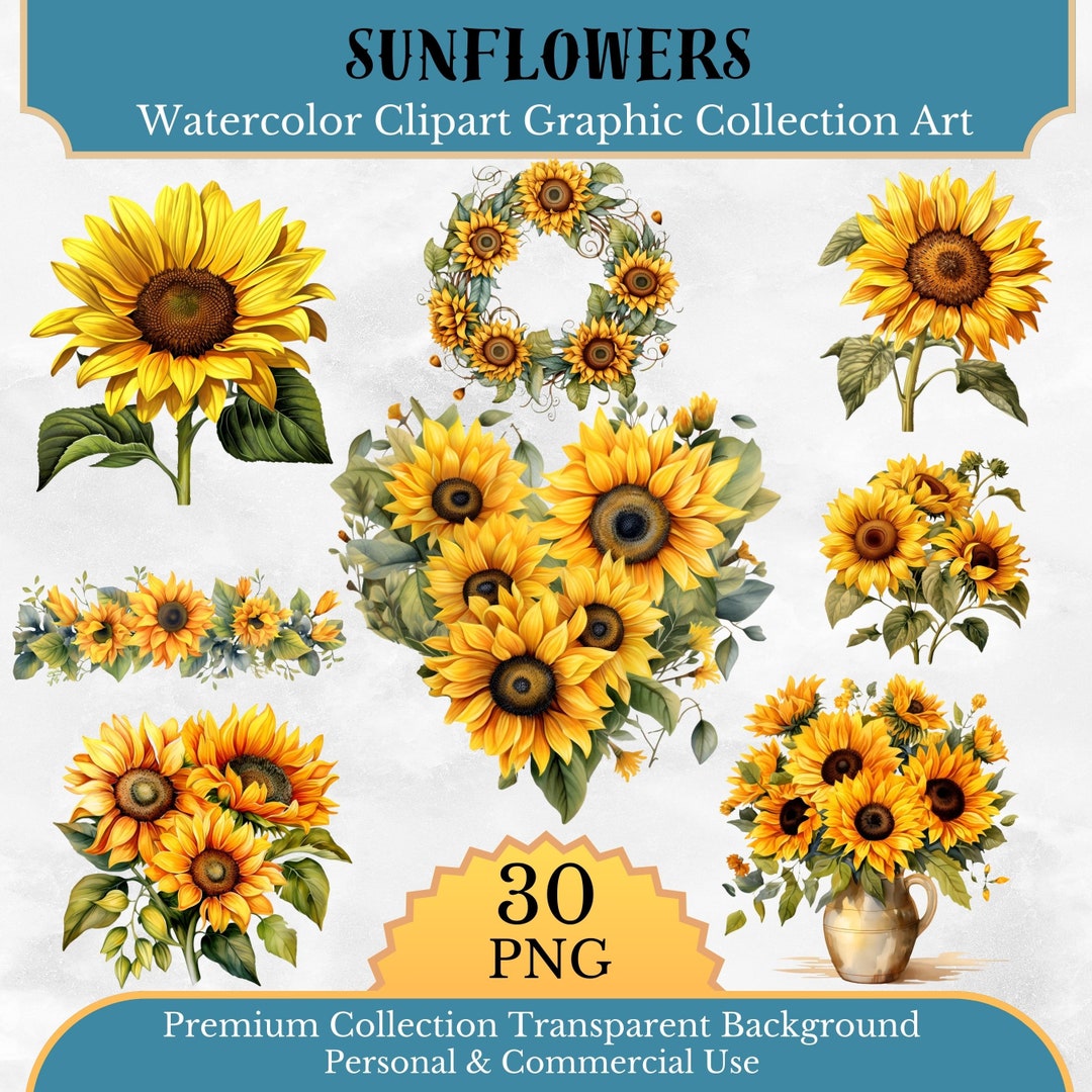 Set of 30 , Sunflowers Clipart Bundle , Watercolor Sunflower PNG ...