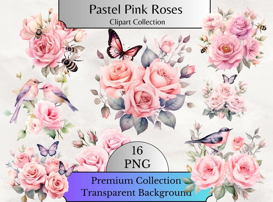 Watercolor Pastel Pink Roses Clipart Set With 16 PNG and JPEG Files - Etsy