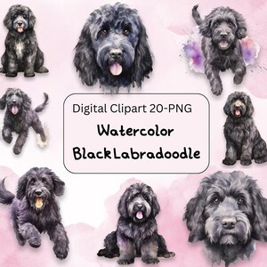 Watercolor Black Labradoodle Clipart -PNG Downloads for Card Making ...