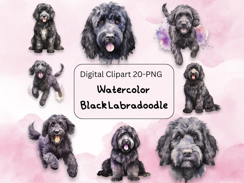 Watercolor Black Labradoodle Clipart PNG Downloads for Card - Etsy