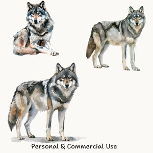 Watercolor Wolves Clipart, Digital PNG Files, High Quality, Transparent ...