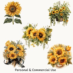 Sunflower Watercolor PNG Clipart Bundle – Digital Download, Floral Art ...