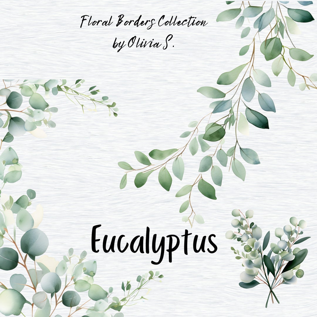 Eucalyptus Watercolor Border, Eucalyptus Corner Border Wedding ...