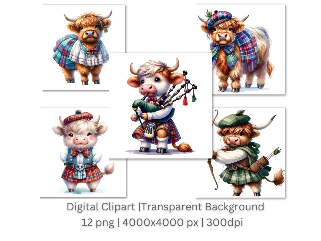 Cute Highland Cow Clipart | Adorable Highland Cow Clipart Bundle | 12 ...