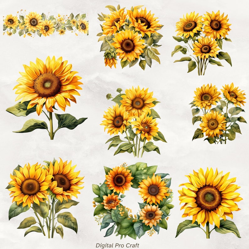 Set of 30 , Sunflowers Clipart Bundle , Watercolor Sunflower PNG ...