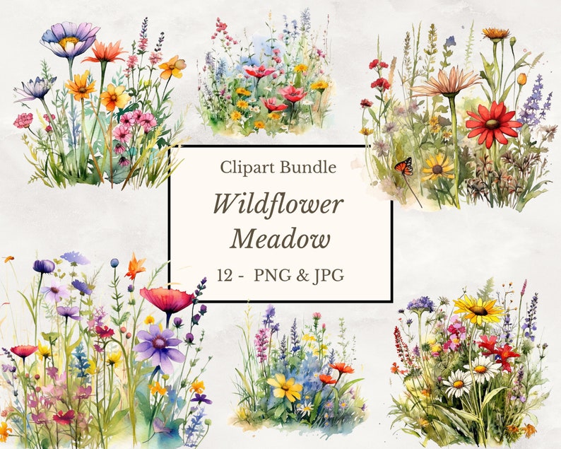 12 Wildflower Meadow Clipart Watercolor Clipartflowers - Etsy
