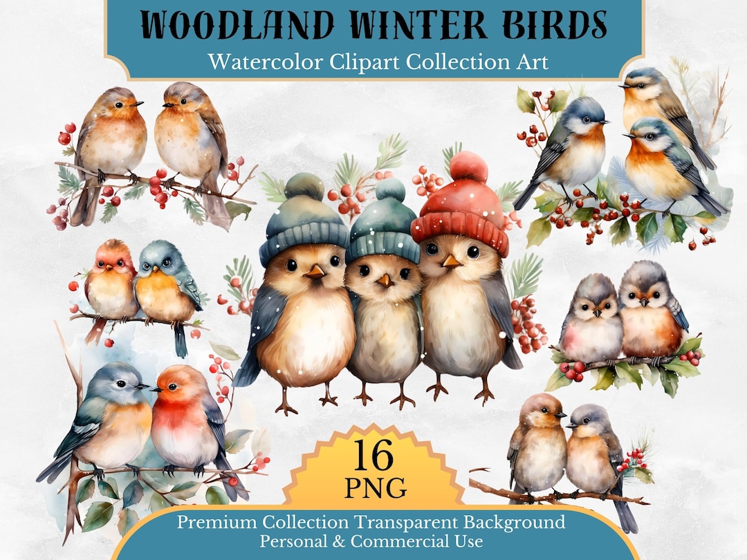 Woodland Winter Birds Clipart Bundle, Winter Clipart, Woodland Animals ...
