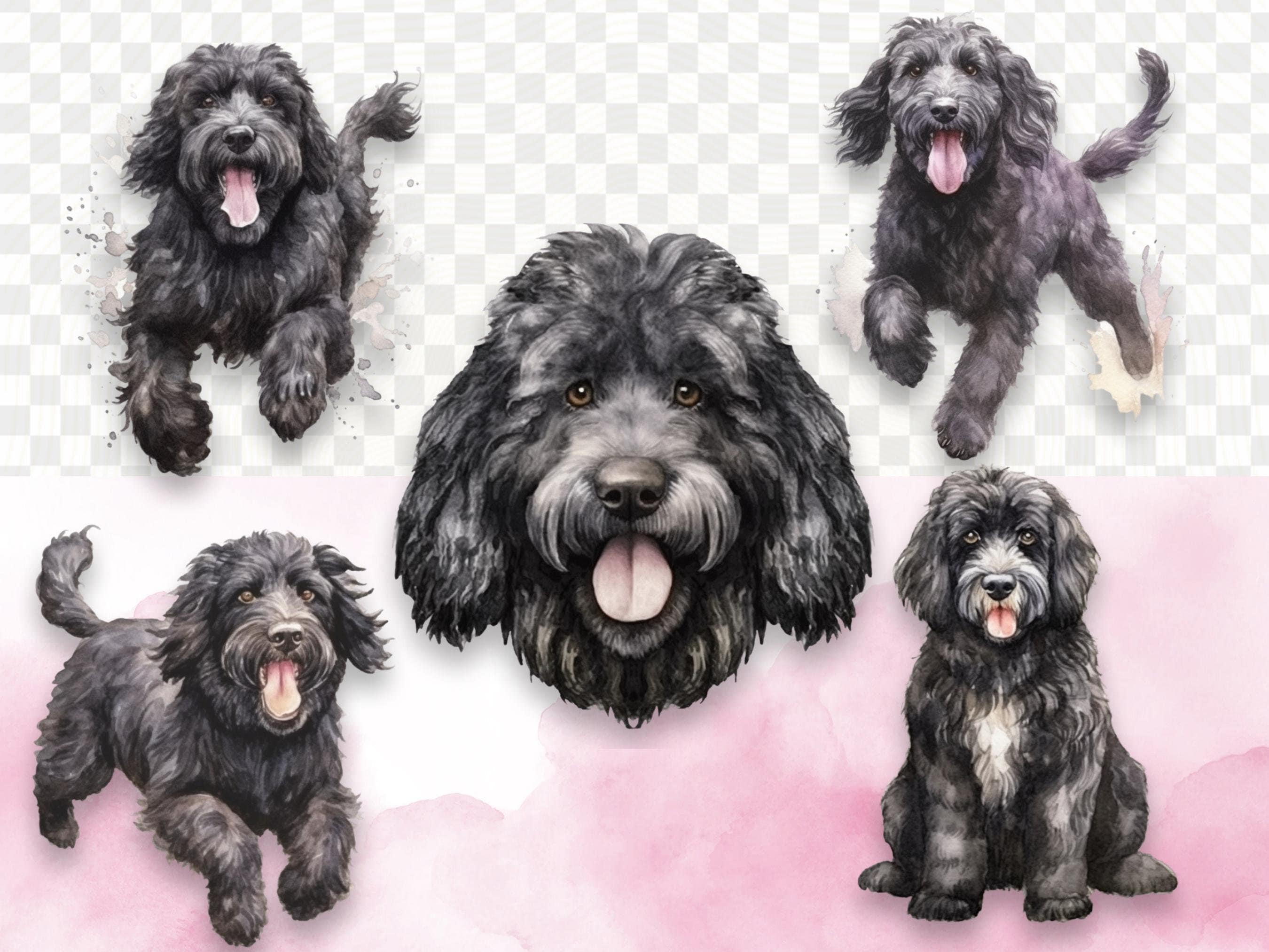 Watercolor Black Labradoodle Clipart PNG Downloads for Card - Etsy