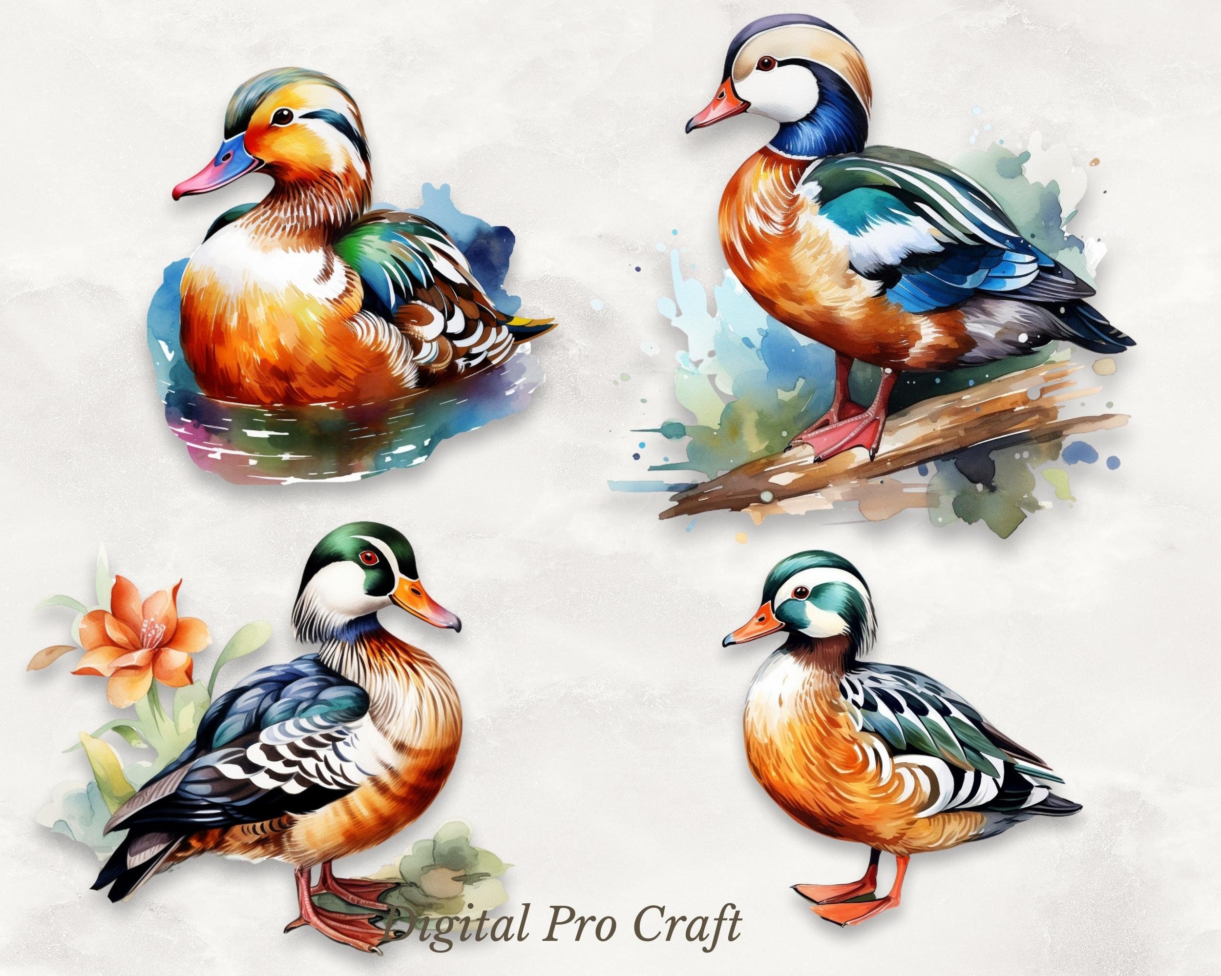 Set of 12 Mandarin Duck Clipart Cute Animal Clipart - Etsy