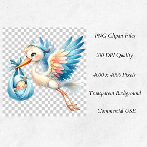 Stork Baby Boy Delivery Clipart Bundle, Newborn Announcement Graphics ...