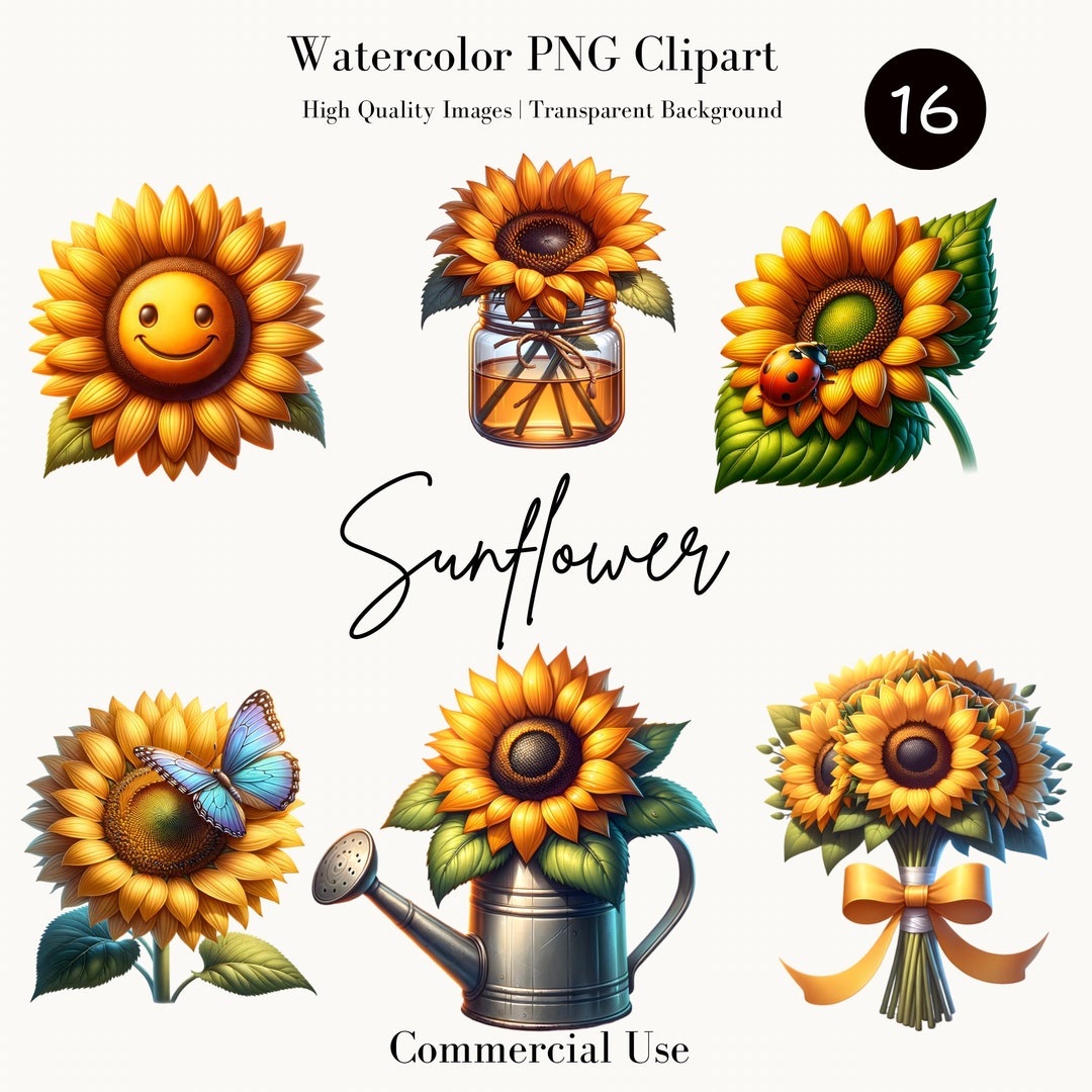 Sunflower Watercolor PNG Clipart Bundle Cute Sunflower Images ...
