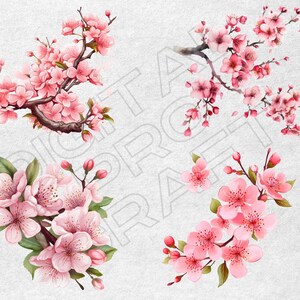 Cherry Blossom Clipart Bundle, Spring Floral Digital Art, Pink Sakura ...