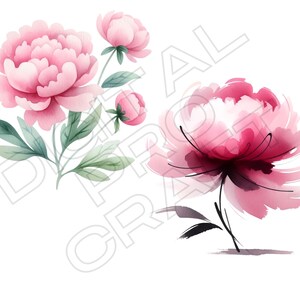 Pink Peonies Clipart Bundle, Watercolor Flowers Clipart, Valentines Png ...