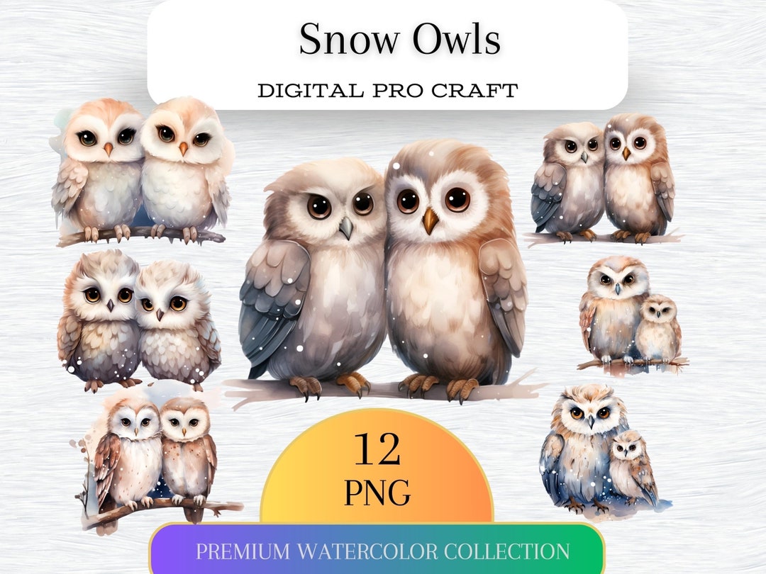 Snow Owls Clipart, Winter Owl PNG, Snowbird Clipart, Arctic Animals ...