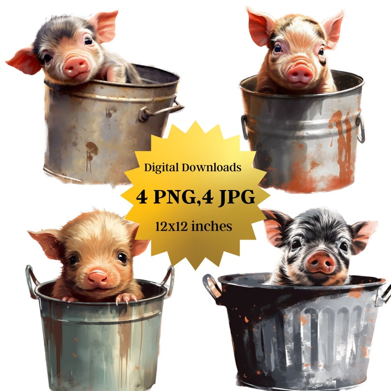Pig Watercolor Clipart Cute Pig in Bucket Baby Pig Piglet PNG - Etsy