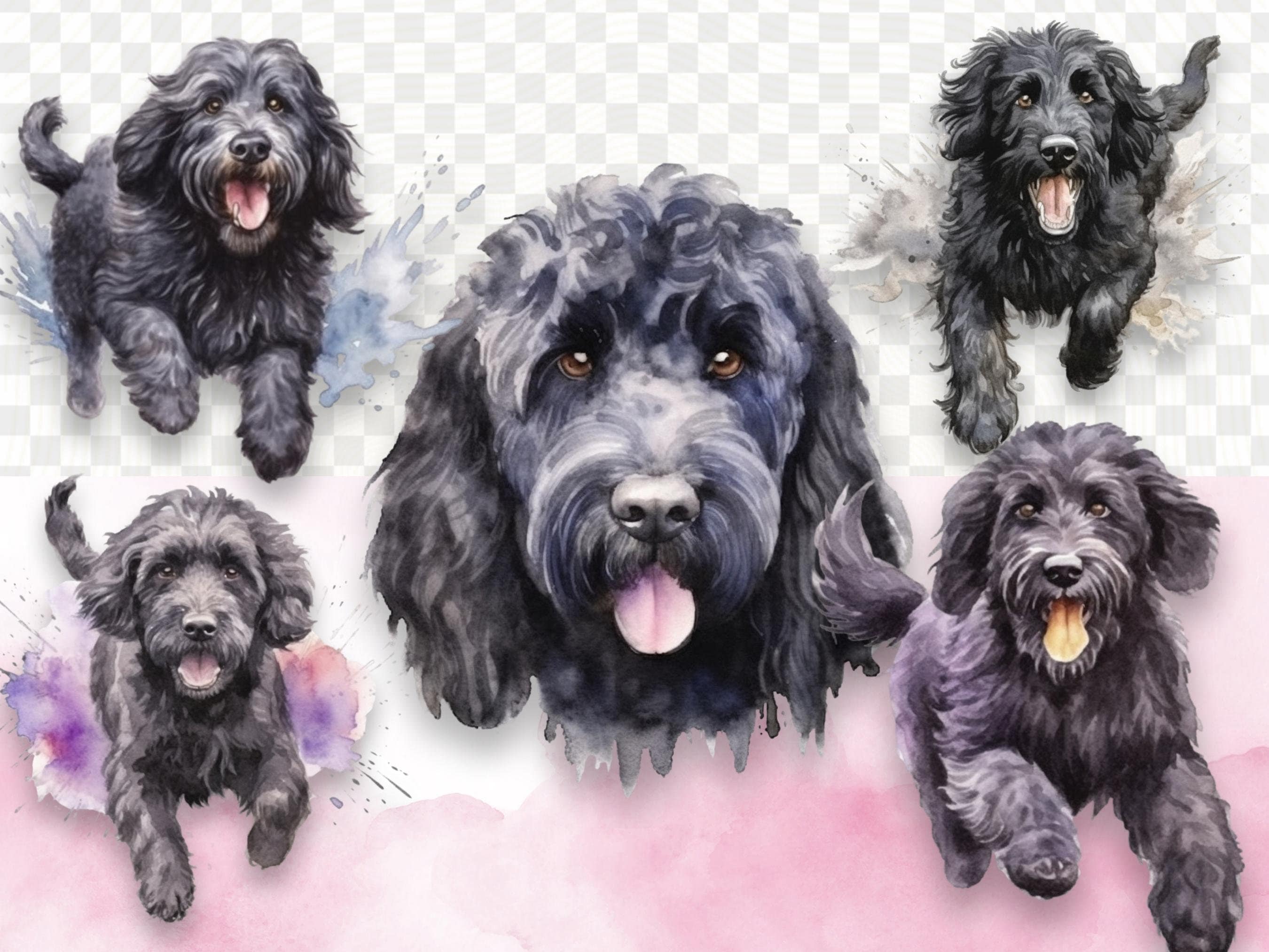 Watercolor Black Labradoodle Clipart PNG Downloads for Card - Etsy