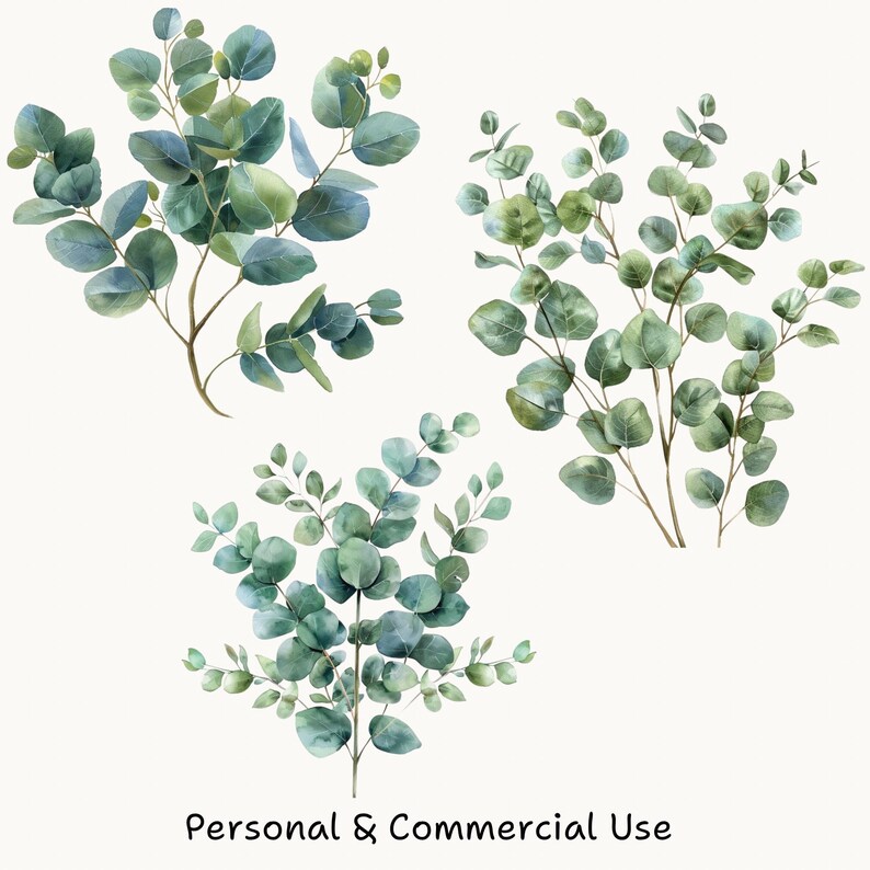 Watercolor Eucalyptus PNG Clipart, Serene Leafy Greenery Set ...