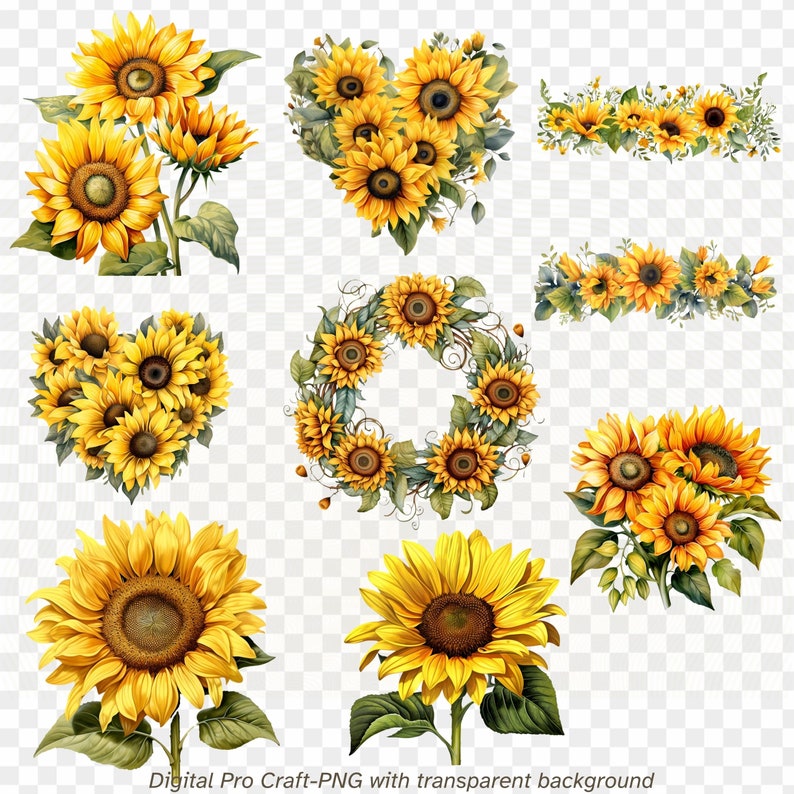 Set of 30 , Sunflowers Clipart Bundle , Watercolor Sunflower PNG ...