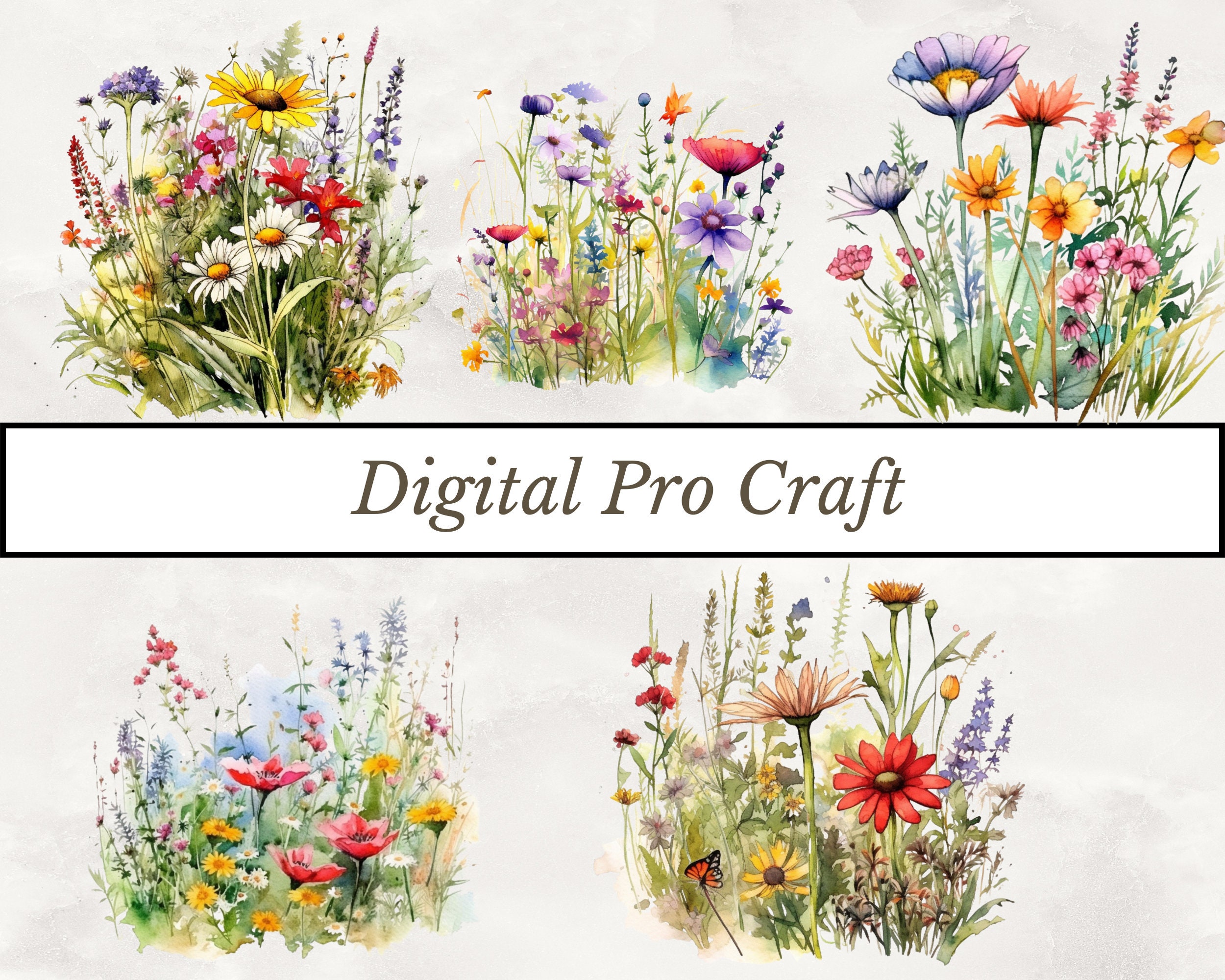 12 Wildflower Meadow Clipart, Watercolor Clipart,flowers Clipart ...